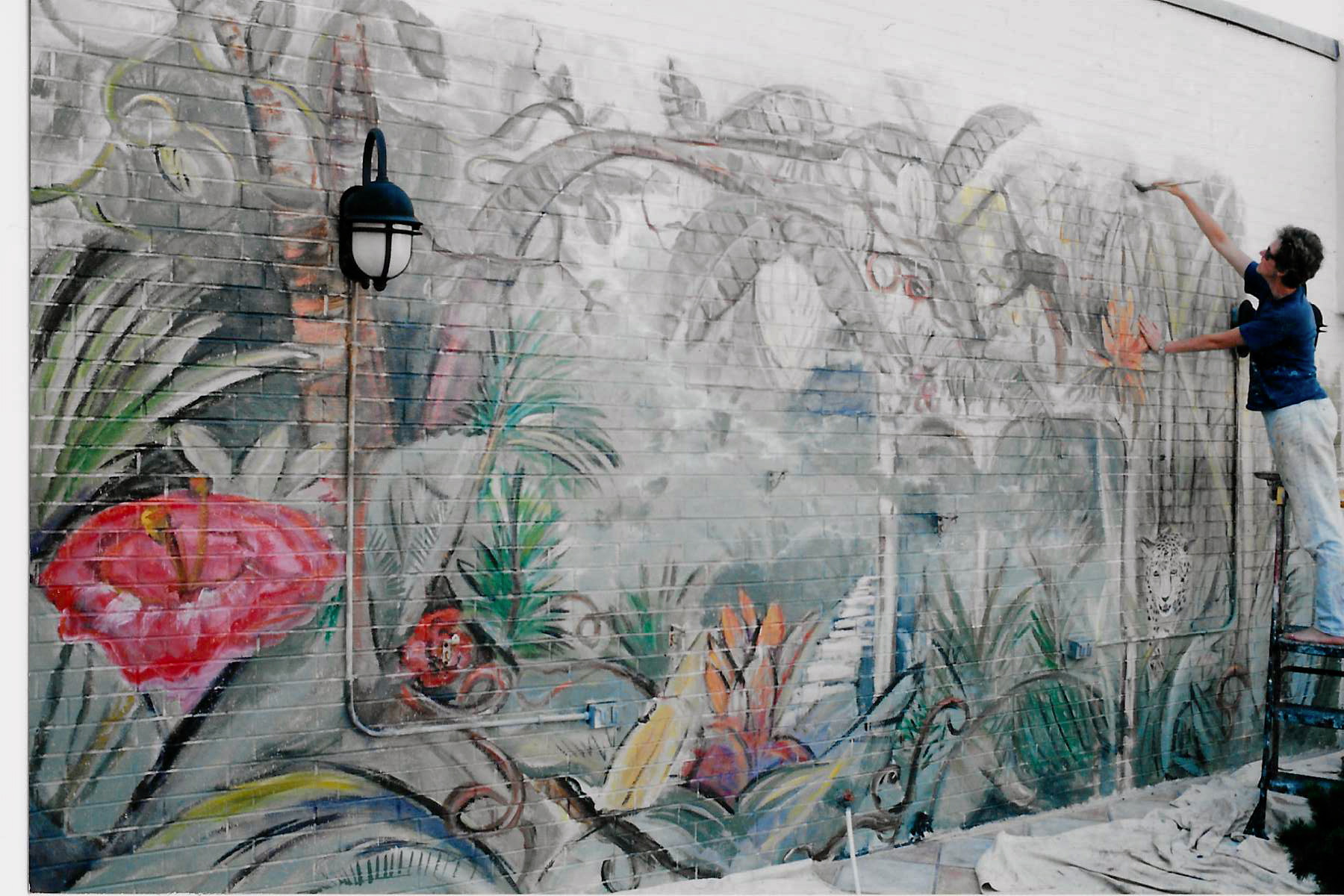 Northwest Chicago suburban artist, Kate Tully, Fine Art, Murals ...